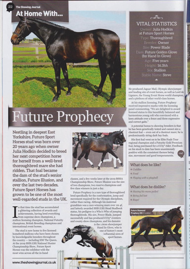 Future Prophecy - Future Sport Horses