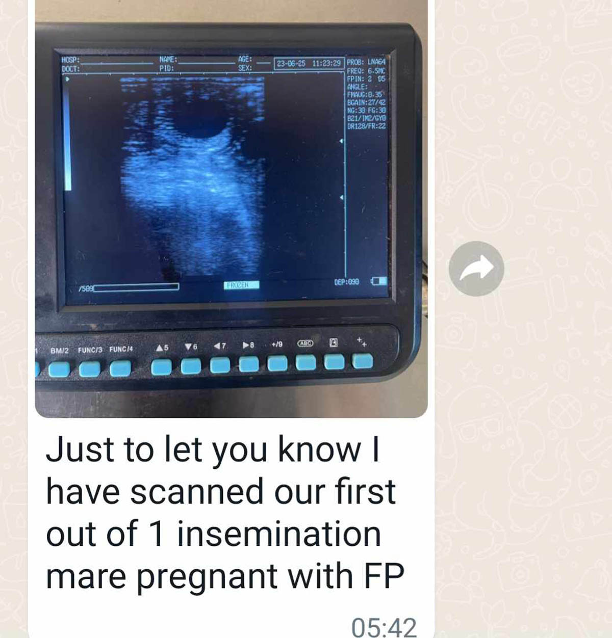 First Foal due in Kenya! - Future Sport Horses