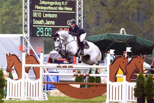 Future Guilty Pleasure - Future Sport Horses
