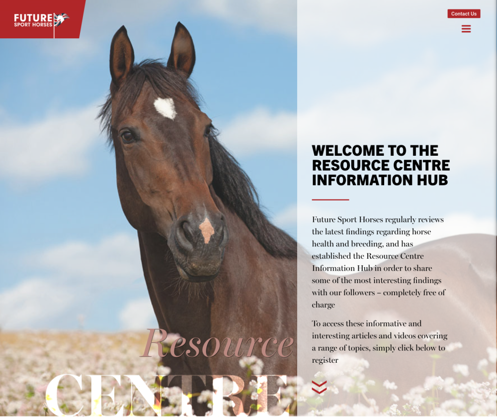 FSH Launches New Resource Centre - Future Sport Horses